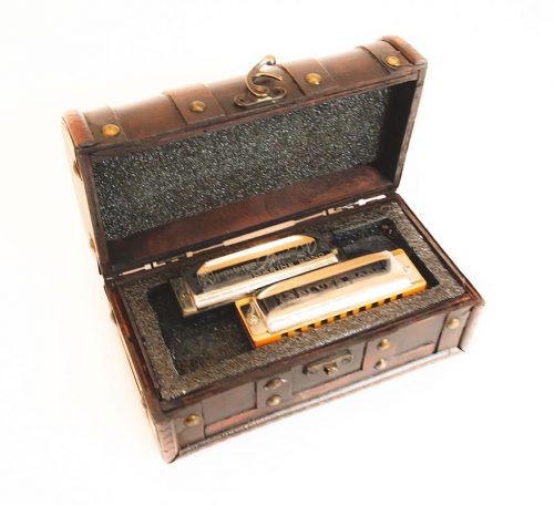 Decorative Harmonica Cases Archives - Hurricane Custom Harmonica Cases